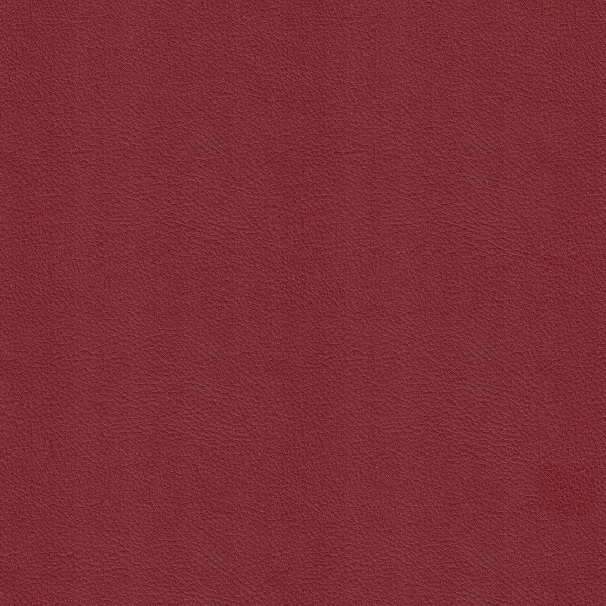 Dynamic Berry – Nationwide Fabric