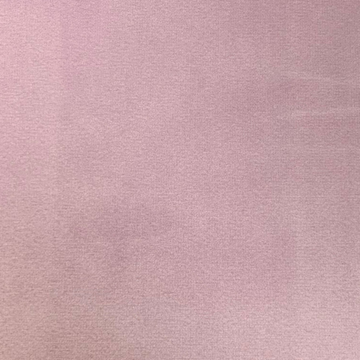 Cloud Velvet Victorian Mauve – Nationwide Fabric