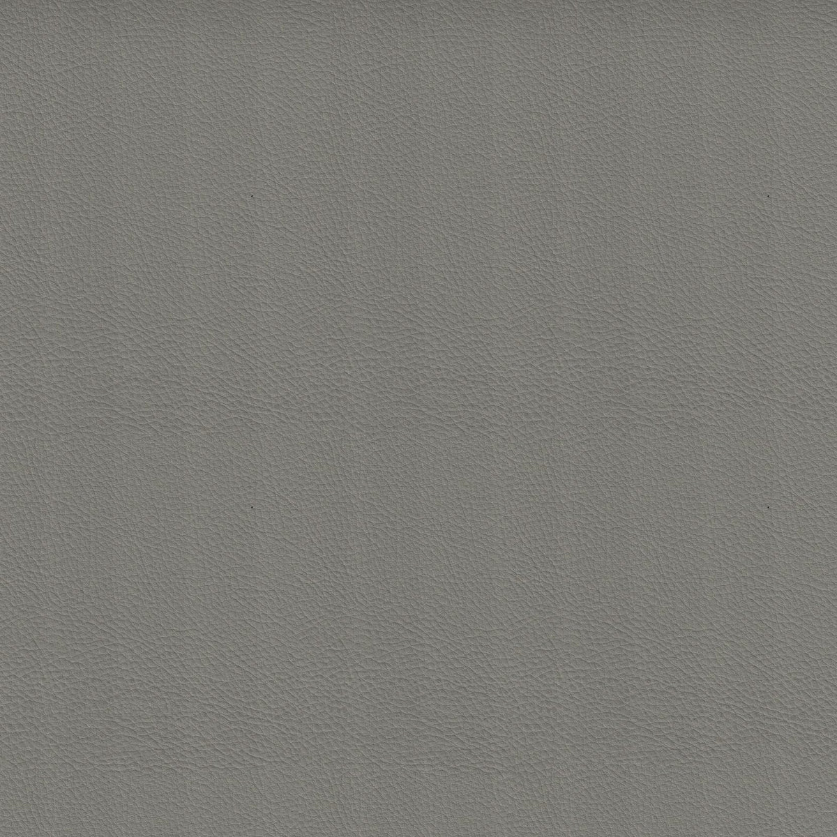 Dynamic Dove – Nationwide Fabric