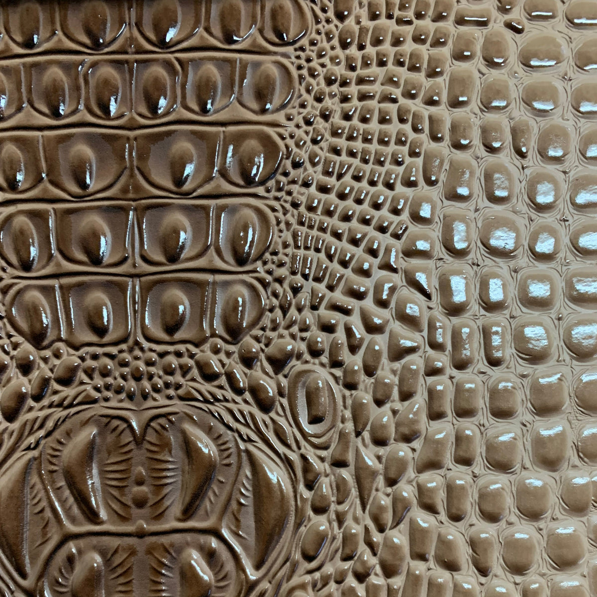 Crocodile Chocolate – Nationwide Fabric